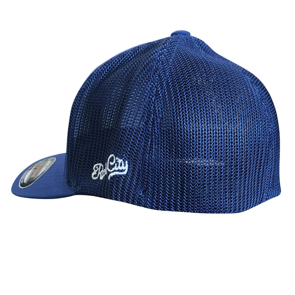 State of AR Hat - Fitted Royal – Rock City Outfitters